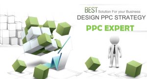 PPC Expert – professional seo services
